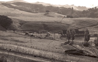 Williams Ranch Boarding - Ranch History
